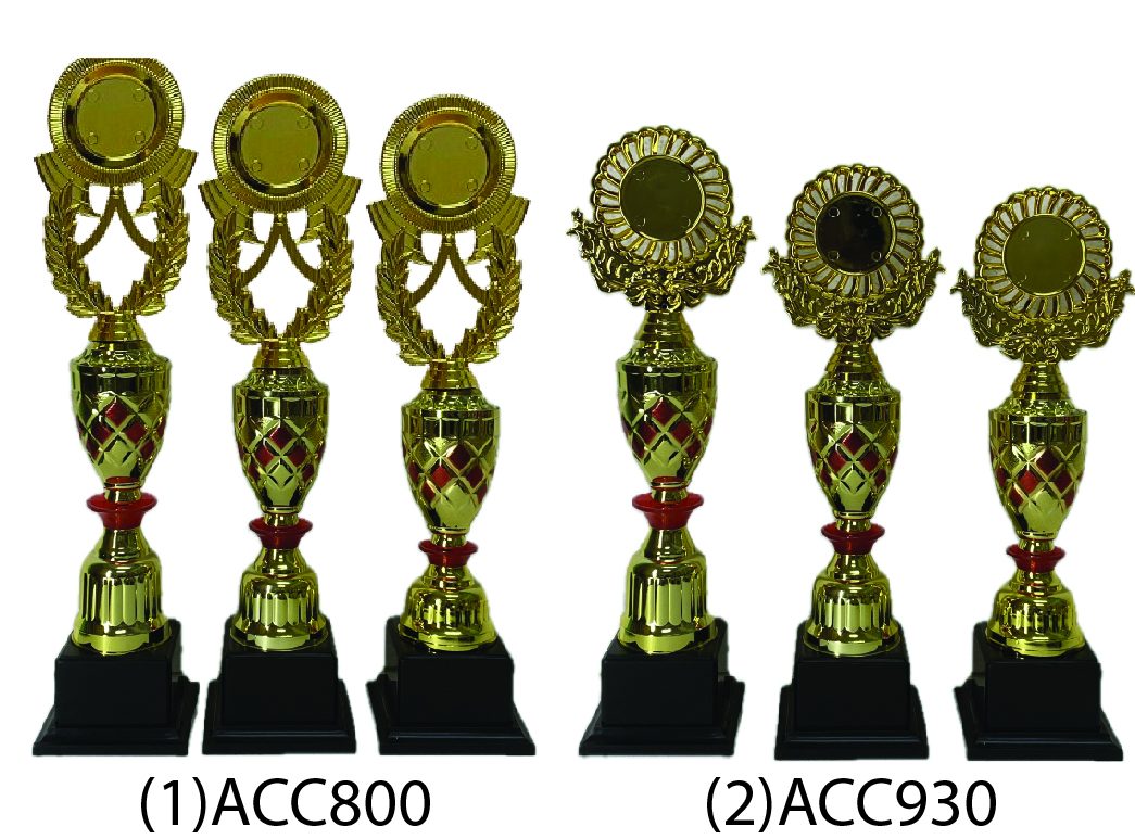 Acrylic Pattern Trophy – AT31277 – Ancient Pewter Manufacturer Sdn Bhd